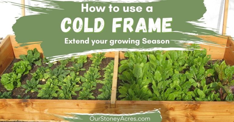 Cold Frames for Gardening - Our Stoney Acres